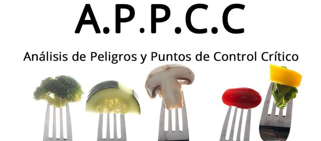 Registros de APPCC electrónicos: ¿Cómo funcionan y cuáles son sus ventajas?